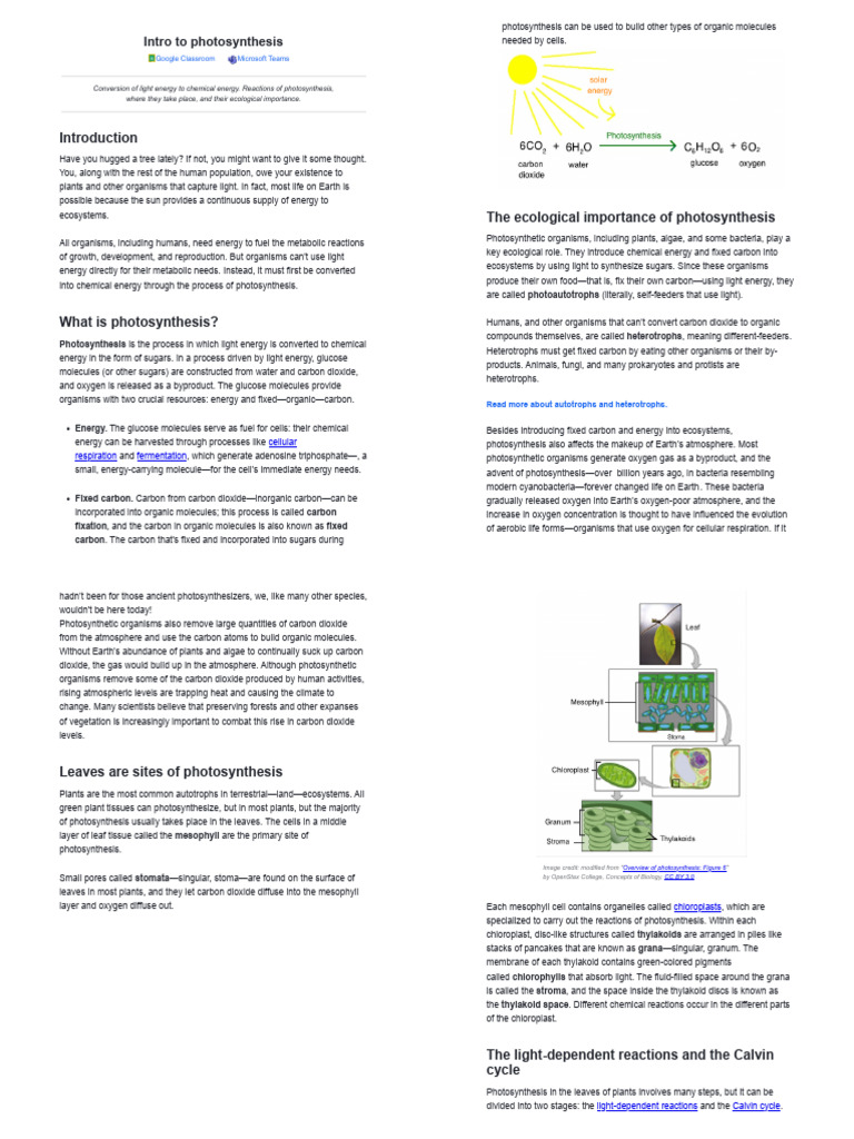 Intro To Photosynthesis (Article) - Khan Academy-Merged | PDF | Photosynthesis | Chlorophyll