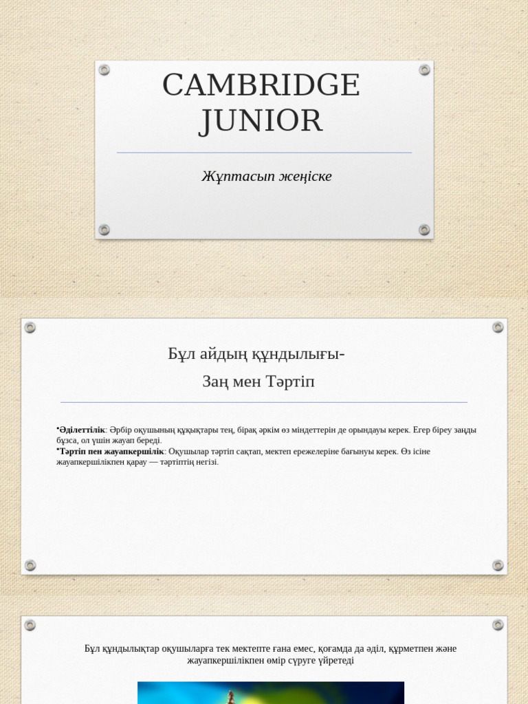Cambridge Junior | PDF
