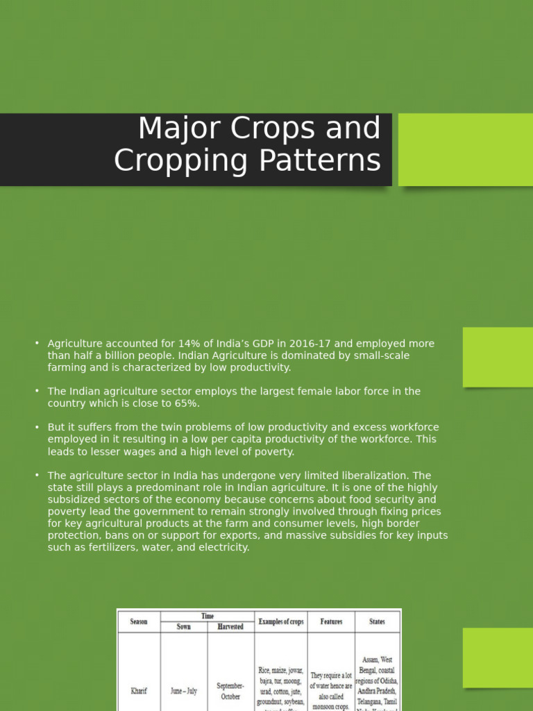 Major Crops and Cropping Patterns | PDF | Legume | Agriculture
