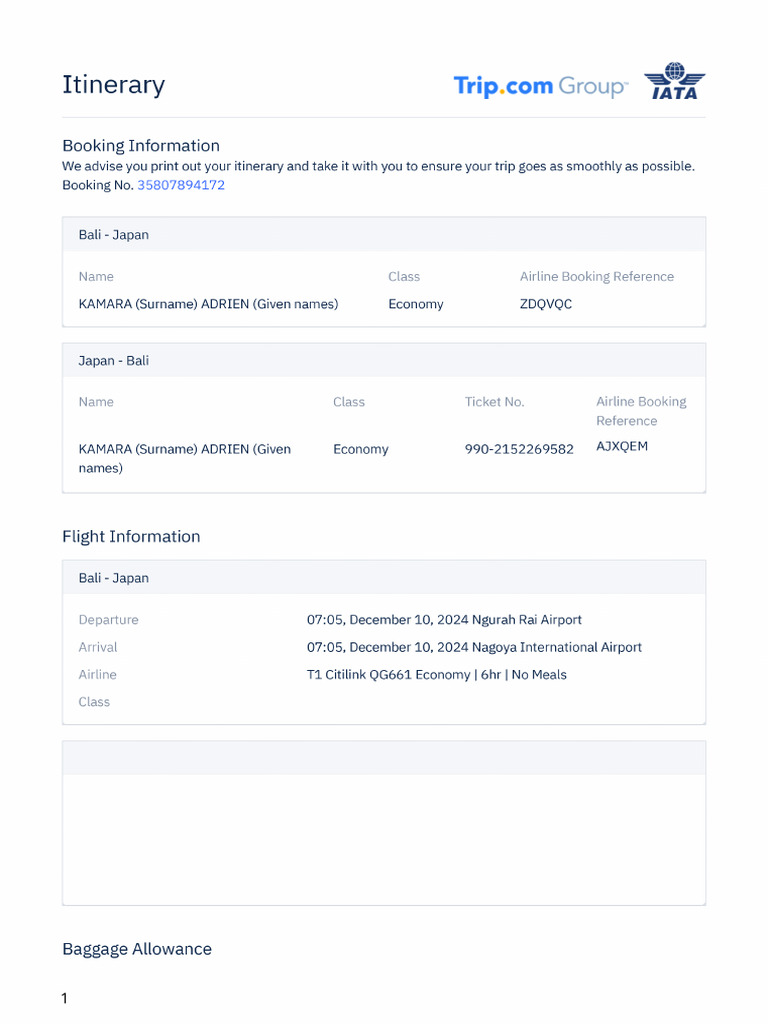 Japan ticket | PDF