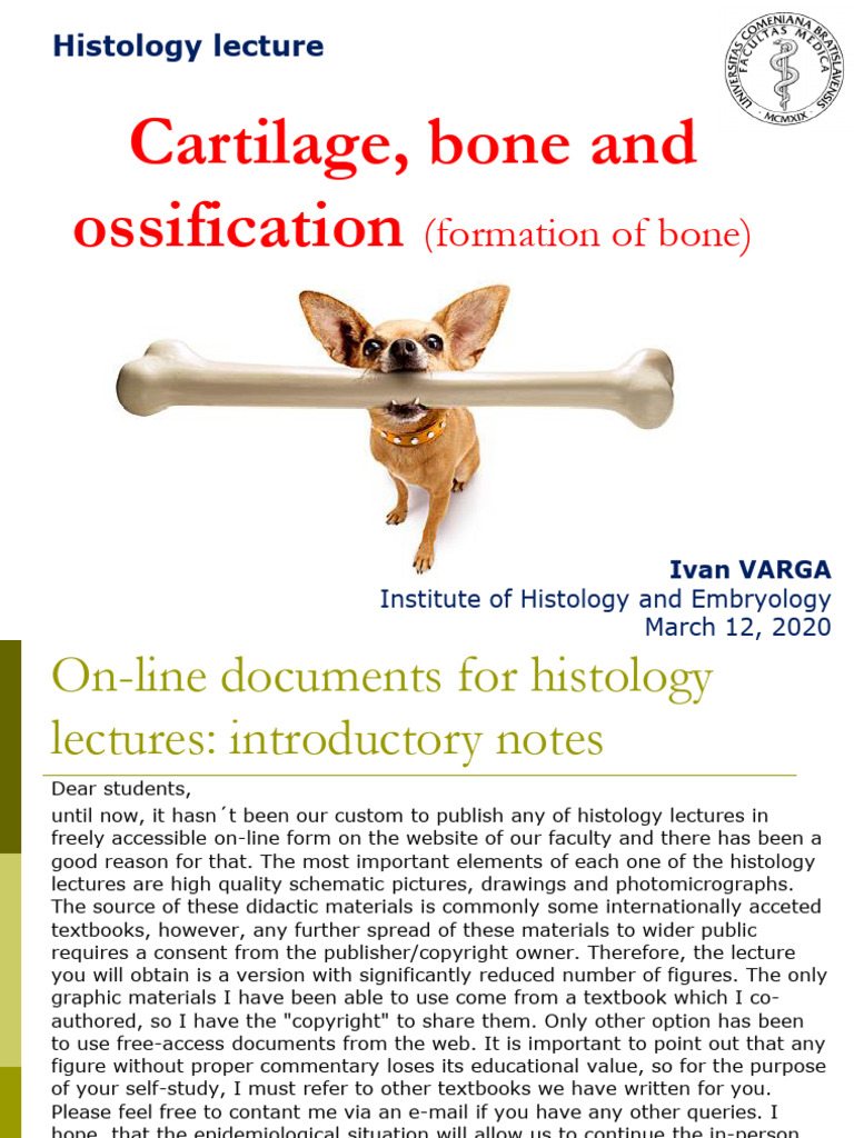 Cartilage Bone and Ossification 2020 | PDF | Bone | Osteoblast