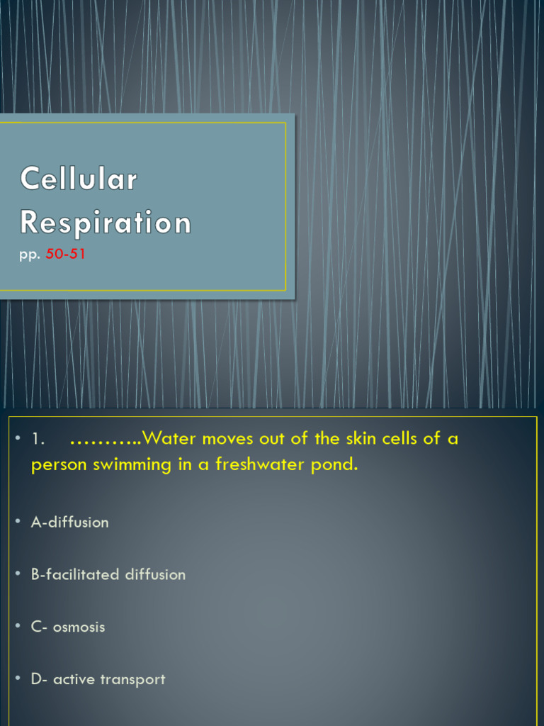 Cellular Respiration | PDF