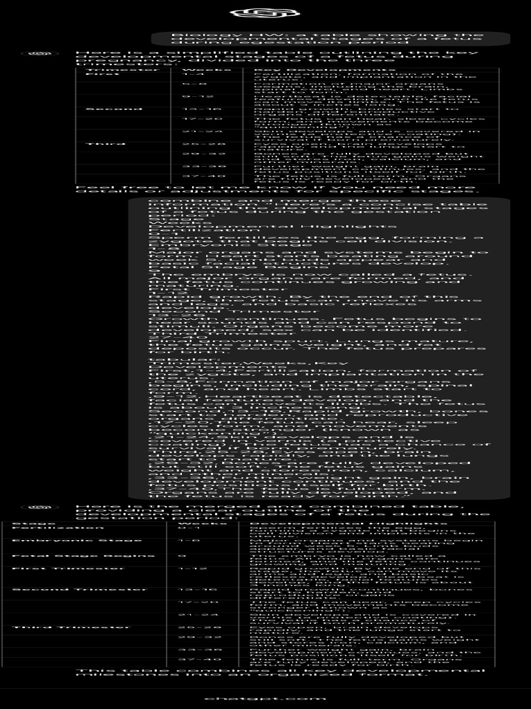 Fetal Development Stages | PDF