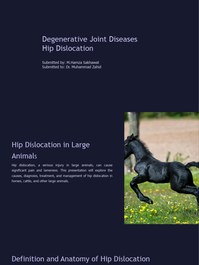 Roll No#47 Hip Dislocation and Degenerative Diseases | PDF | Hip ...