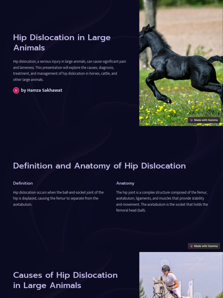 Hip Dislocation in Large Animals Guide | PDF | Hip | Clinical Medicine
