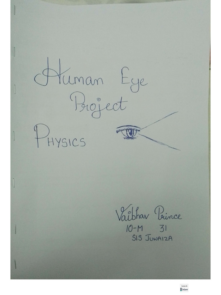 Human Eye Project | PDF