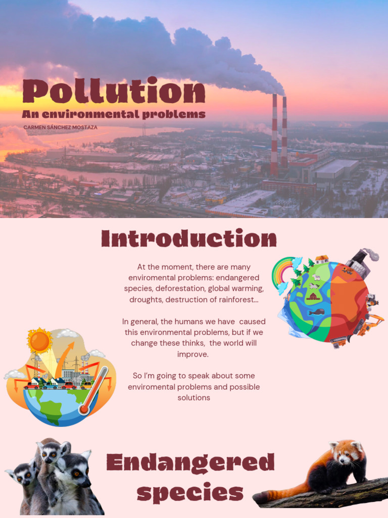 Environmental Issues & Solutions | PDF