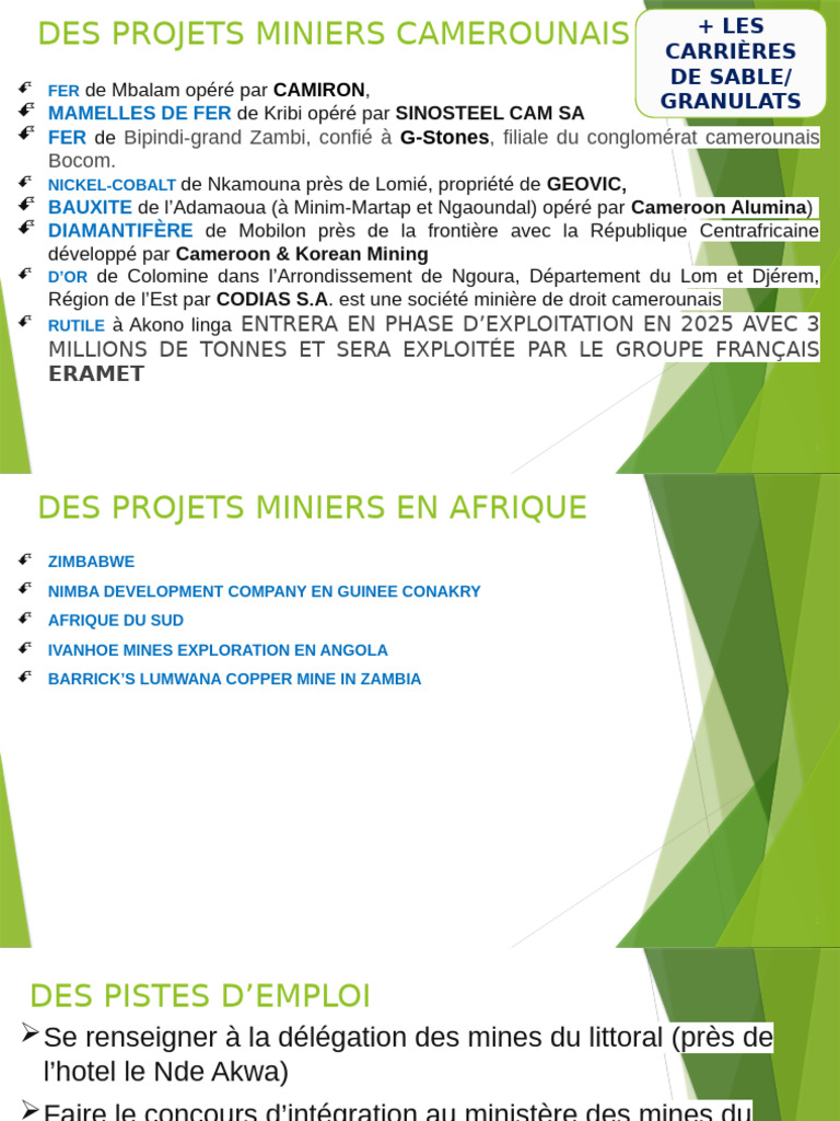 Projets miniers et opportunités au Cameroun | PDF