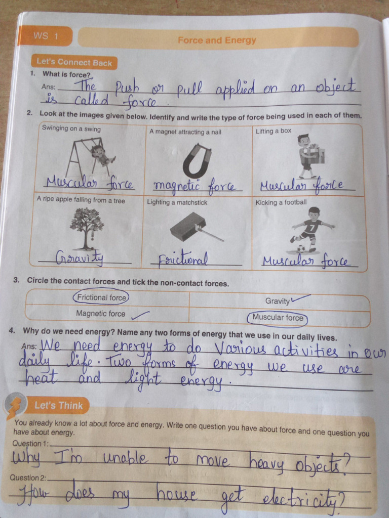STD 4 EVS Unit 6(1-10) WS answers 04-Jan-2025 13-43-10-1 | PDF