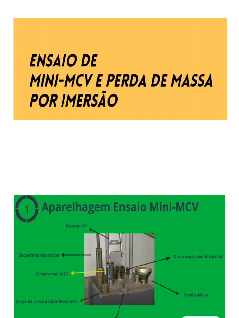 Procedimentos do ensaio mini-mcv | PDF