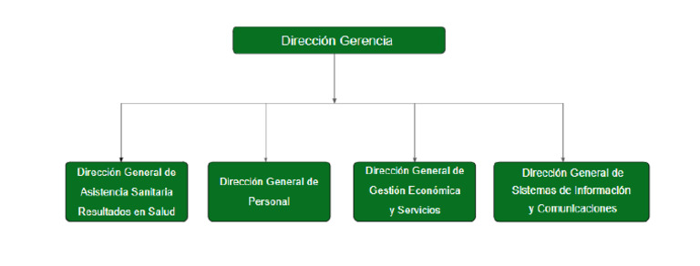 Organigrama SAS | PDF