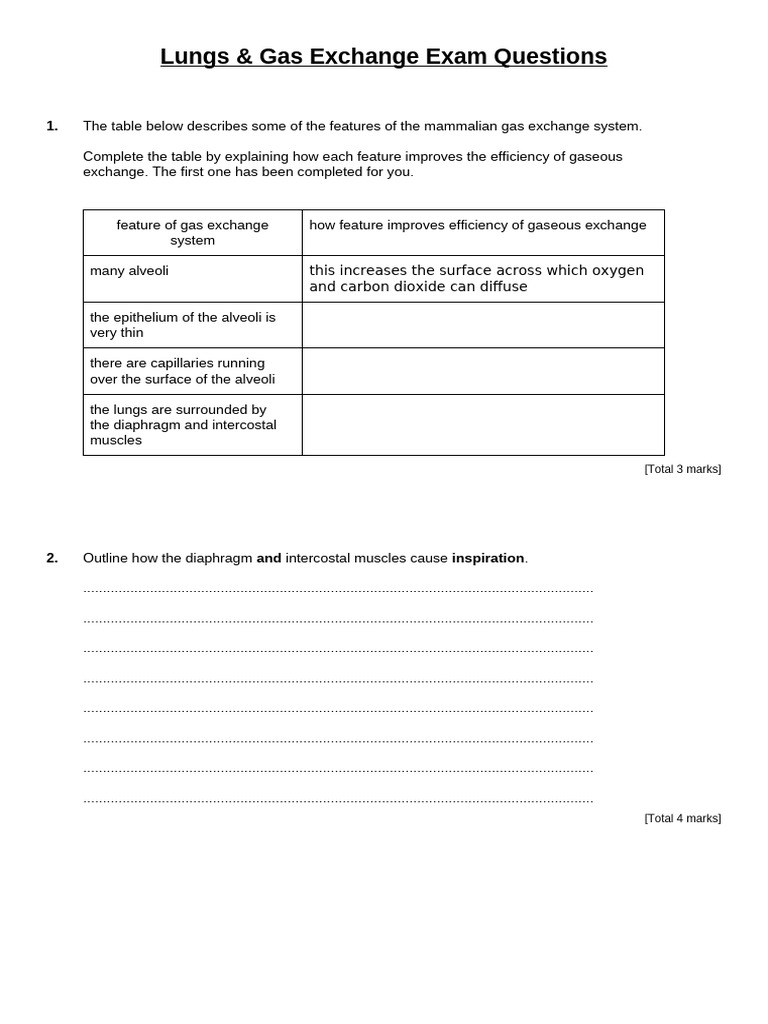 7.2 Lungs - Gas Exchange Exam Questions | PDF | Lung | Respiratory System