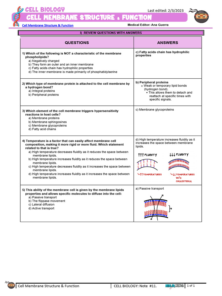 Cell Membrane Structure & Function (3) Atf | PDF | Cell Membrane | Lipid
