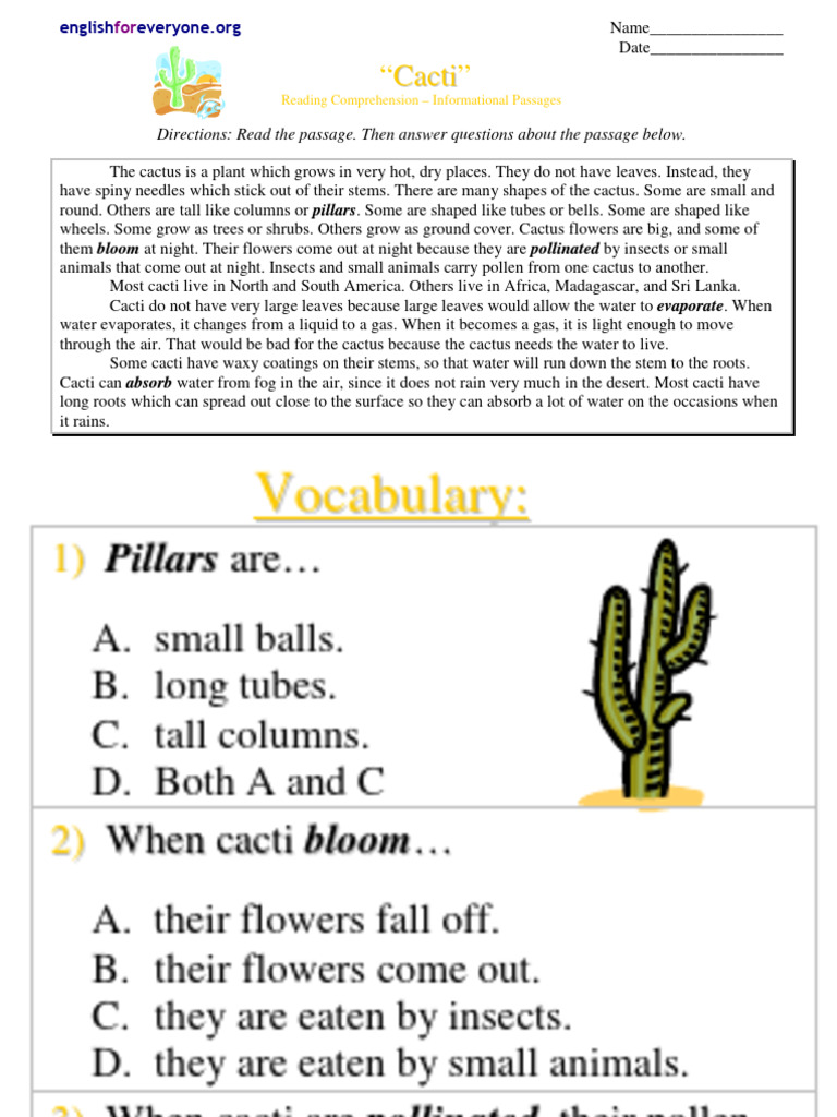Cactus | PDF | Flowers | Botany