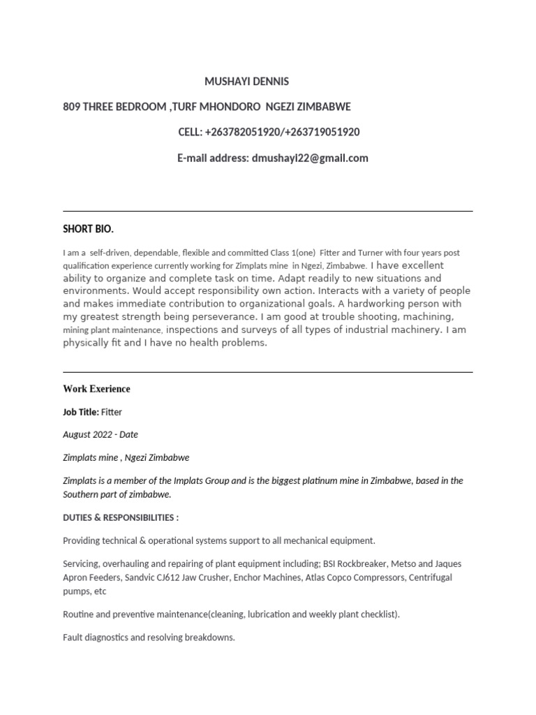 Dennis_Mushayi_ZP_CV | PDF | Mechanical Engineering