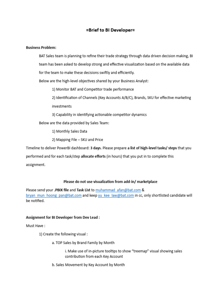 Brief to BI Developer | PDF | Data Management | Information Technology