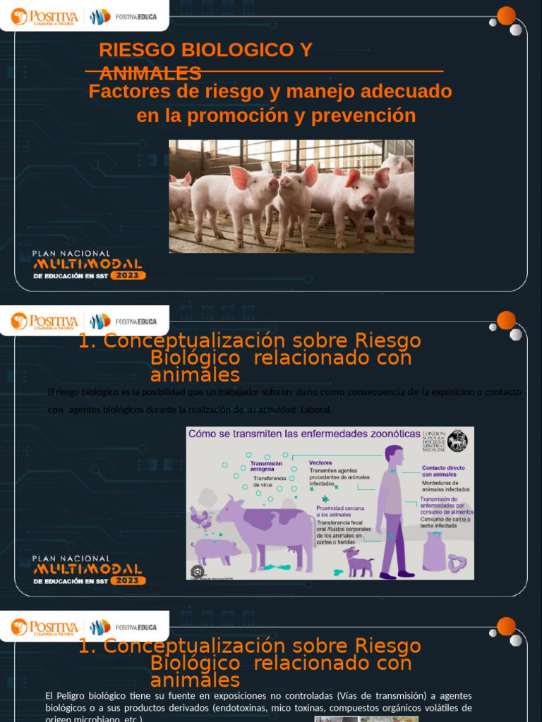 Riesgo Biológico | PDF | Infección | Microbiología