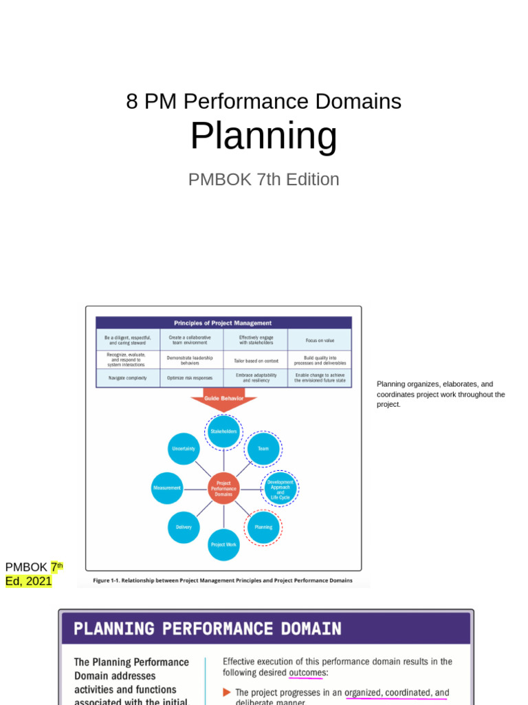 7us PM Performance Domains Planning Scope 2024 | PDF | Business