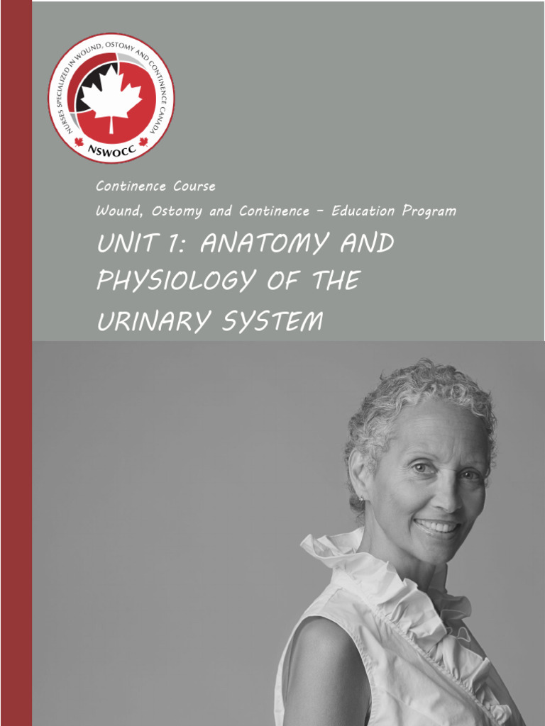 Unit 1 Workbook Anatomy and Physiology of The Urinary System | PDF ...