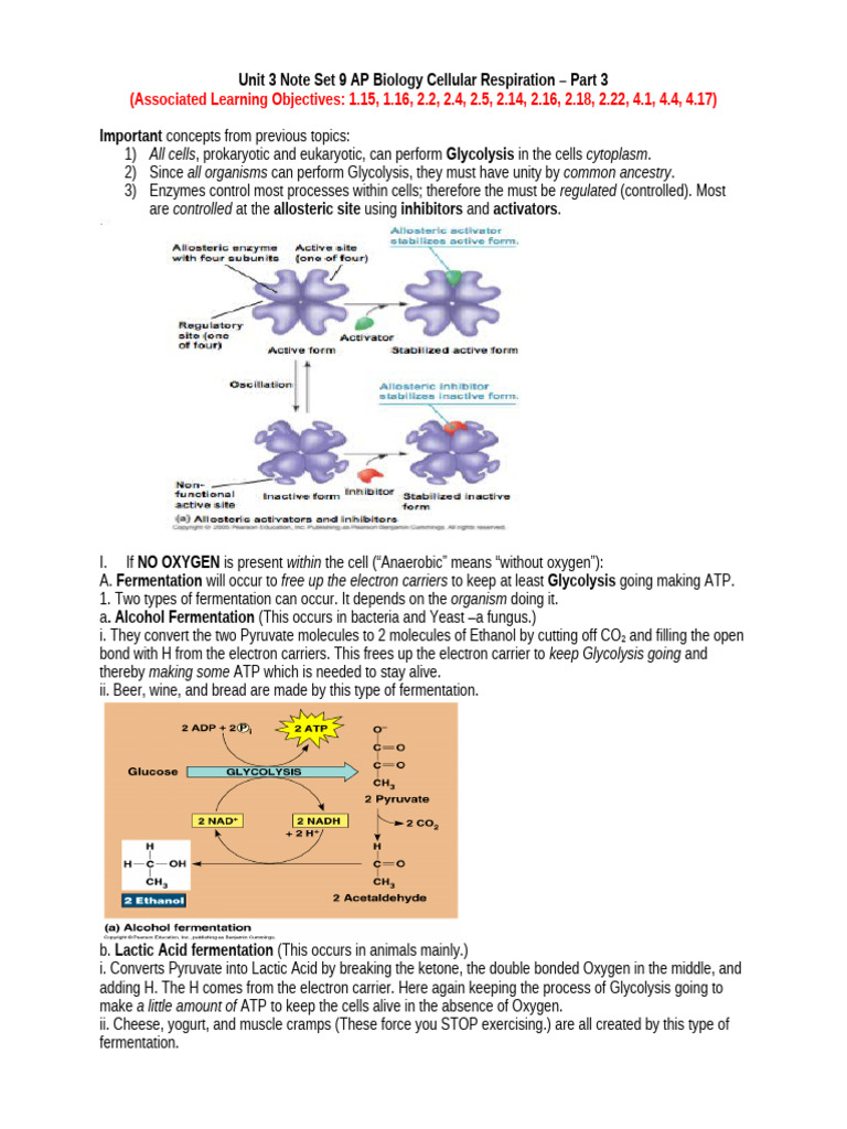 Unit 3 Note Set 9 AP Biology Cellular Respiration Part 3 | PDF ...