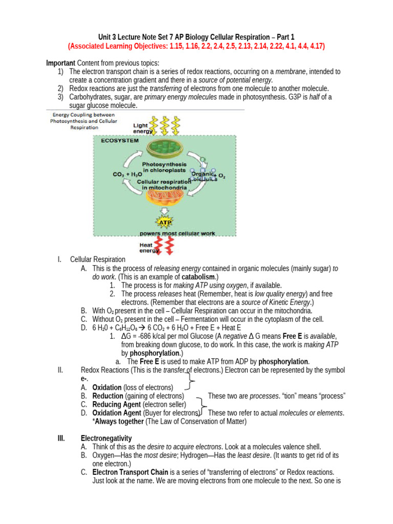 Unit 3 Note Set 7 AP Biology Cellular Respiration Part 1 | PDF ...
