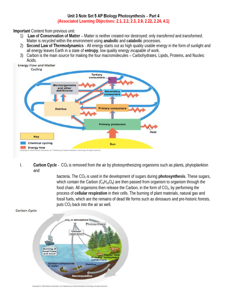 Unit 3 Note Set 6 AP Biology Photosynthesis Part 4 | PDF | Food Web ...