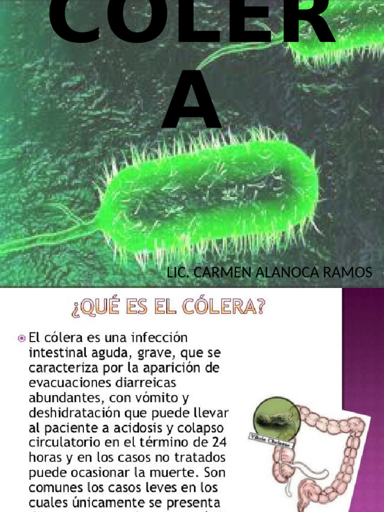 COLERA | PDF