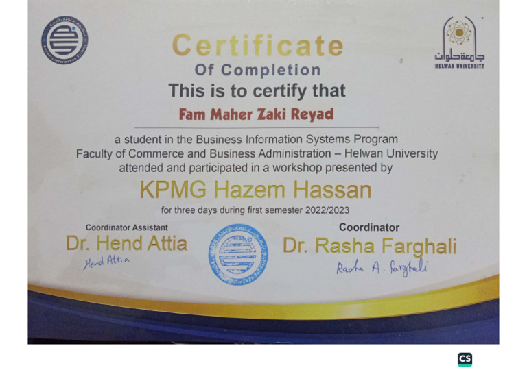 Hazem Hassen-2 | PDF