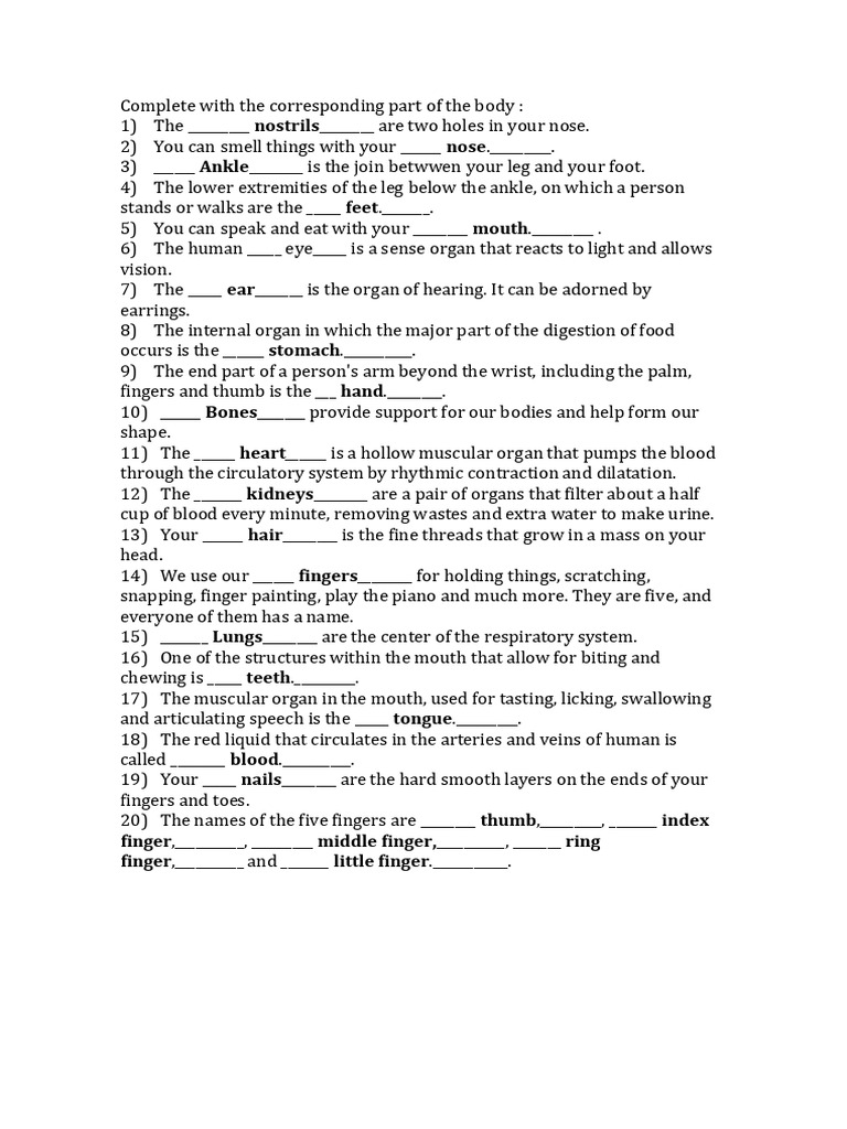 6th Homework Body's Parts | PDF