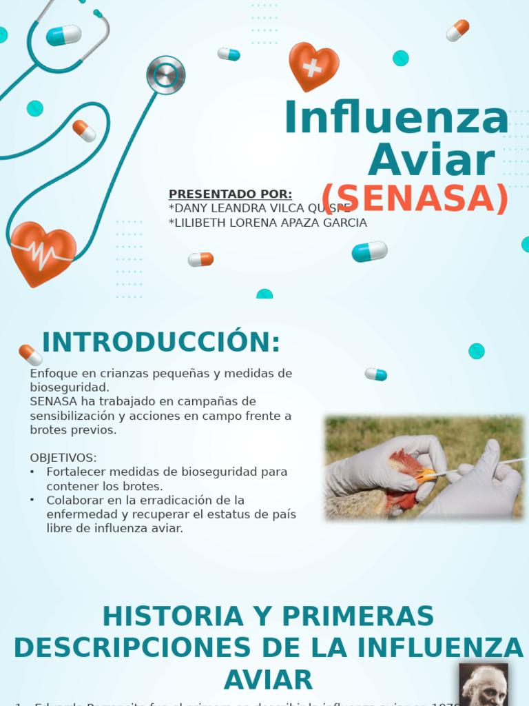 Influenza Aviar Unido | PDF | Influenza aviar | Influenza