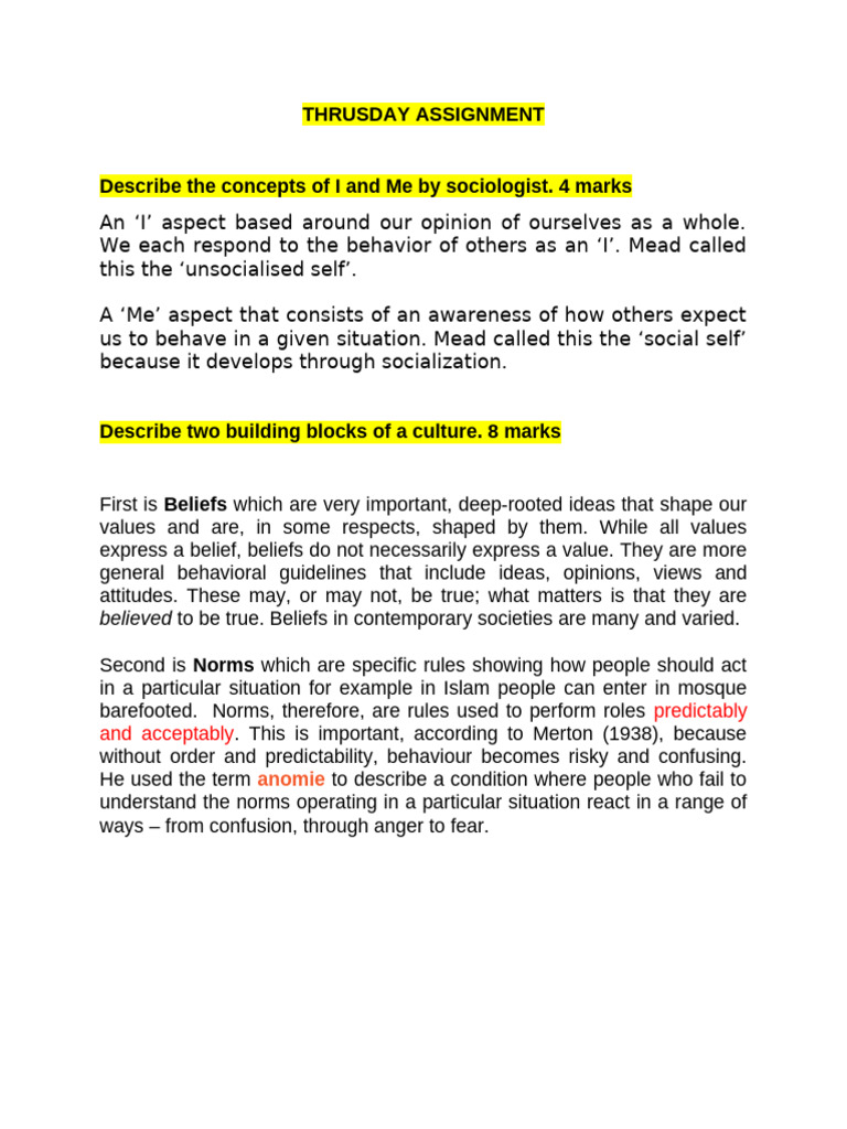 Socialization Assignment | PDF