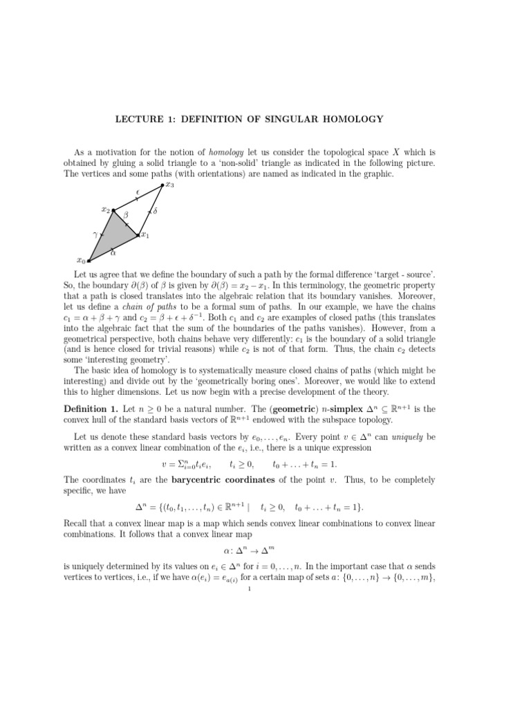 Singular Homology Group | PDF | Geometry | Basis (Linear Algebra)