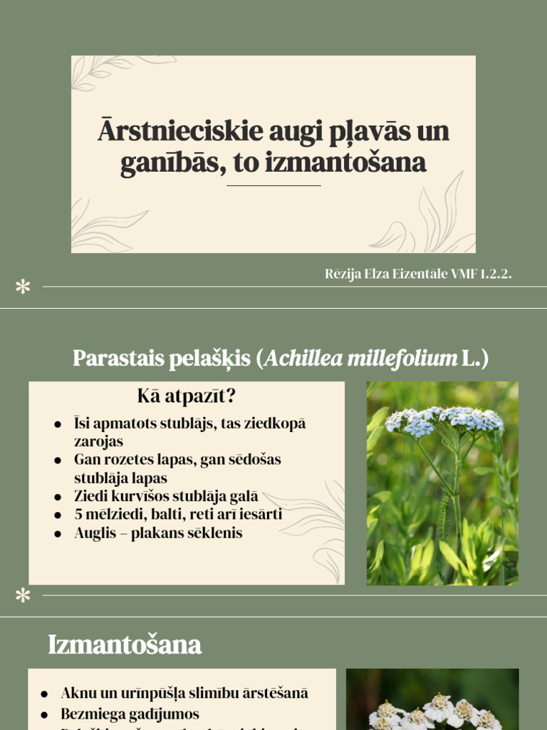 Ārstniecības augi_Rēzija | PDF