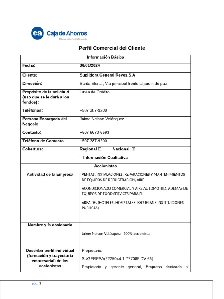 1.perfil Comercial Del Cliente | PDF | Business | Supermercado