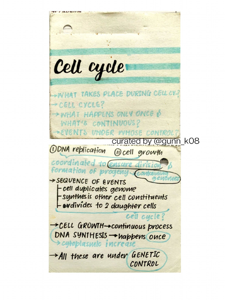 Cell Cycle Flashcards | PDF