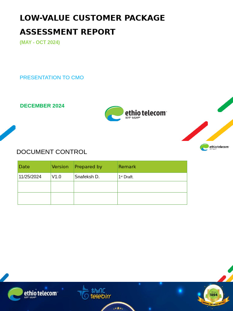 Low Value Customers Assessment Report - V1.0 - Dec 2024 | PDF | Business