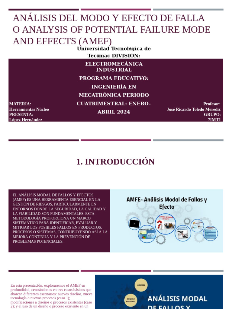 AMEF | PDF | La seguridad informática | Seguridad