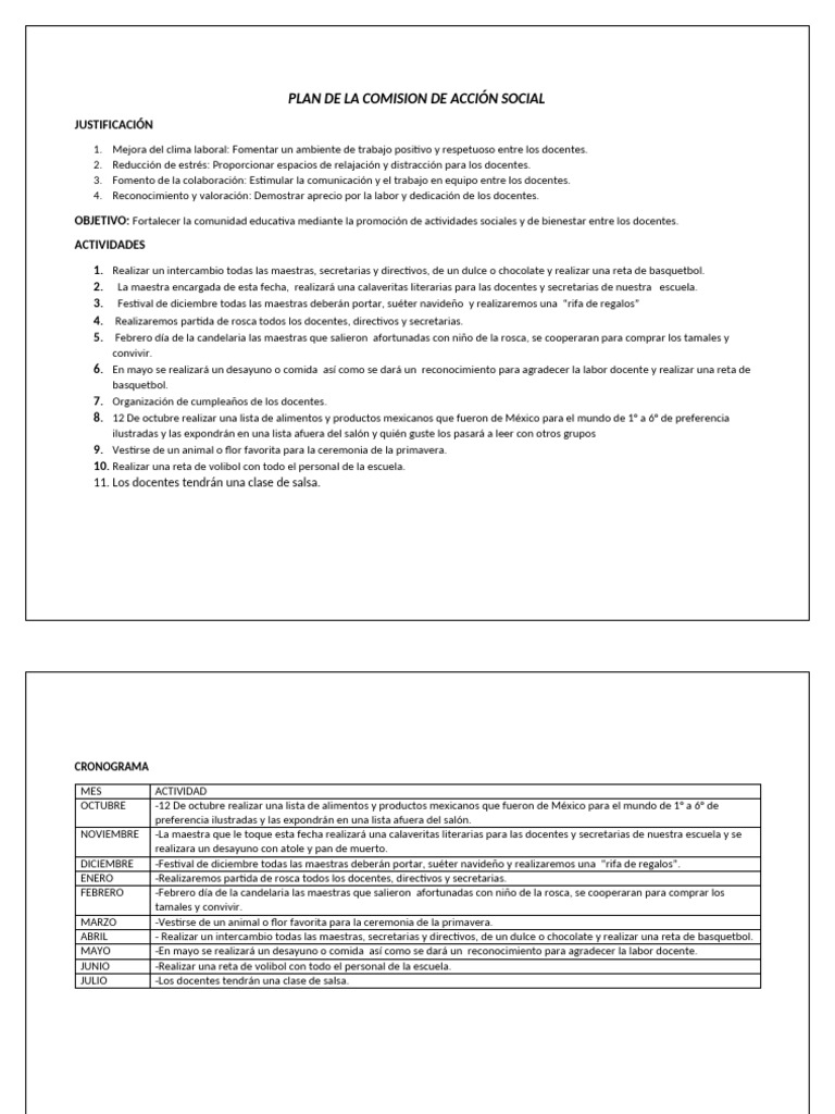 PLAN DE LA COMISION DE ACCIÓN SOCIAL | PDF