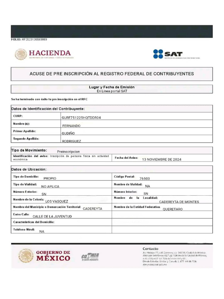 Acusé SAT PDF 13-Nov-2024 | PDF