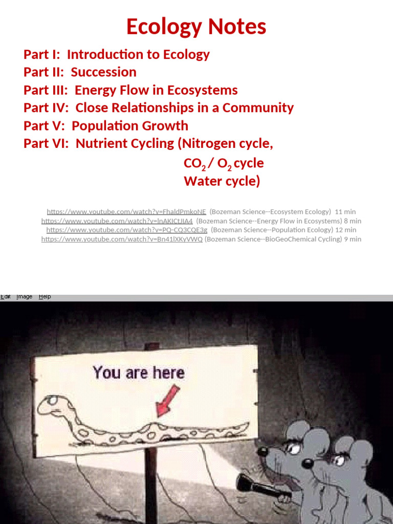 Ecology Notes DL | PDF | Ecosystem | Food Web