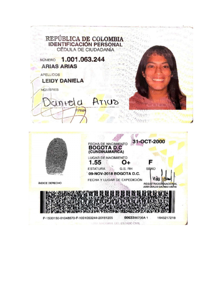 Leidy Daniela Arias Arias - Practica Énfasis Profesional 2025-1 | PDF