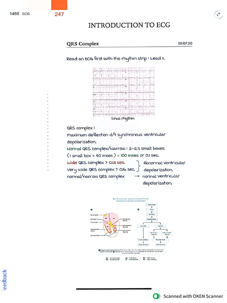 Introduction To Ecg - + | PDF