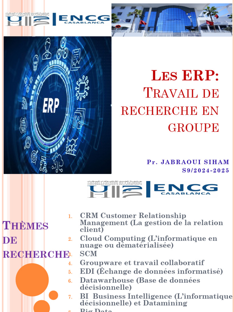 Thèmes de recherche sur les ERP 2024 | PDF
