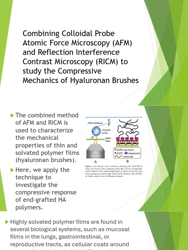 Combining Colloidal Probe Atomic Force Microscopy (AFM | PDF | Atomic ...