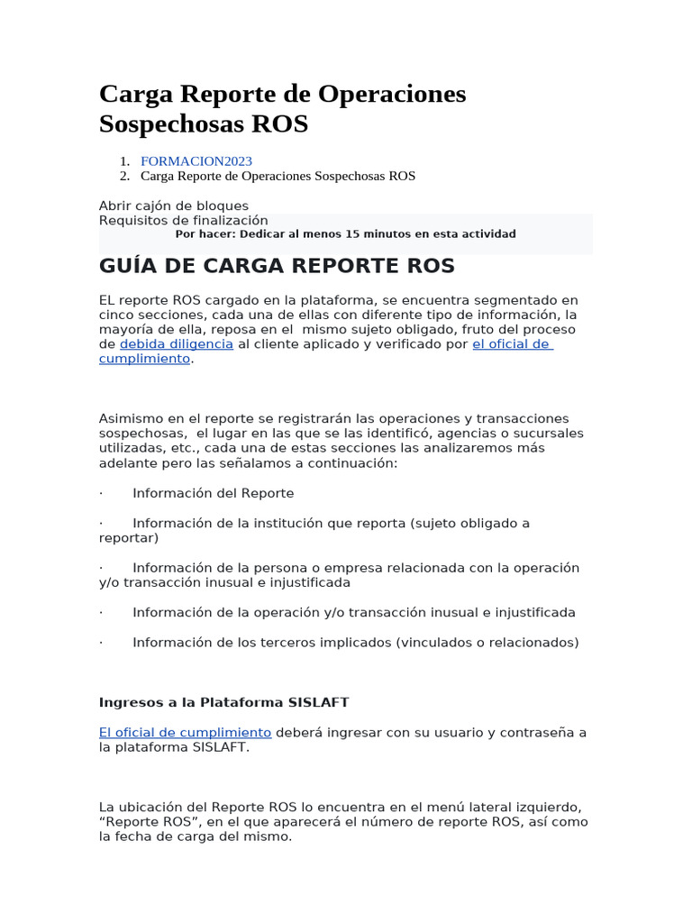 Guía para Carga de Reportes ROS | PDF