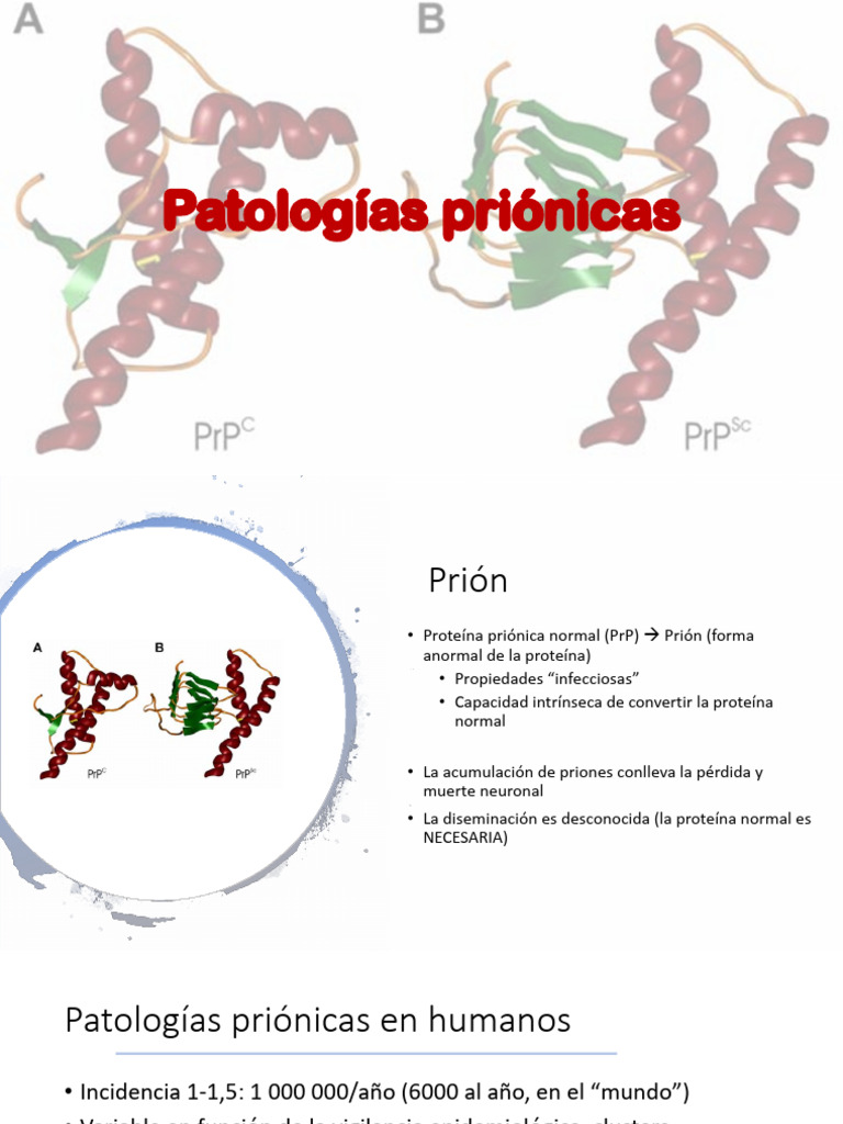 Prionic As | PDF | Esclerosis múltiple | Enfermedades y trastornos