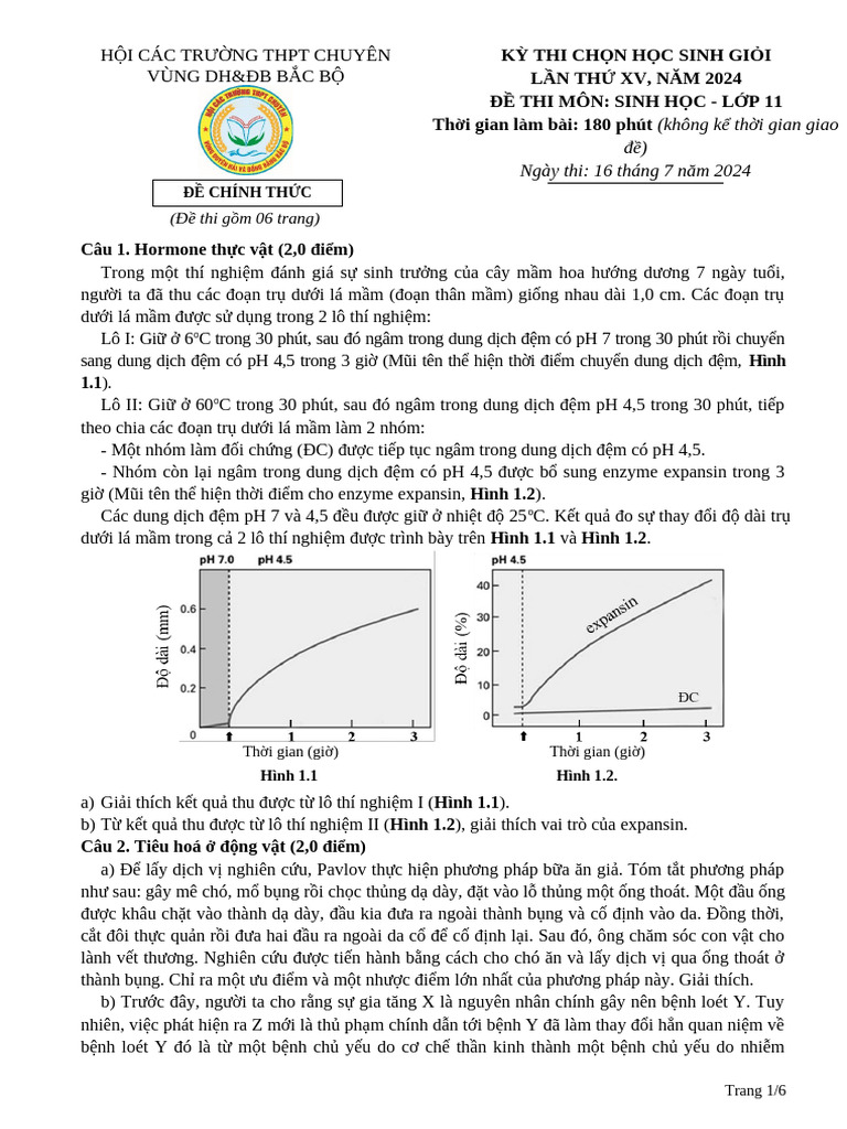 11 DE SINH DHBB 07.2024-CHUẨN | PDF