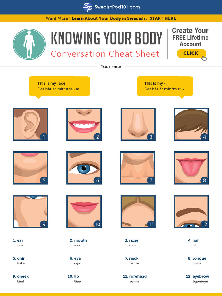 My Body Swedish | PDF