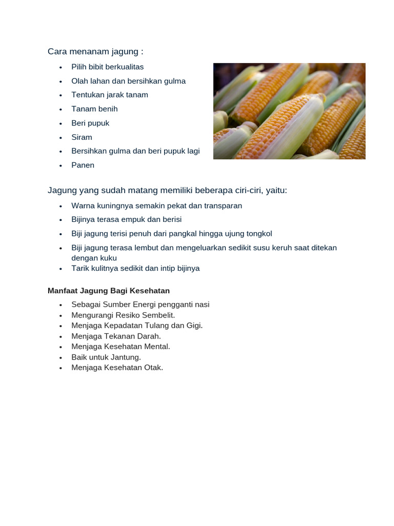 Cara Menanam Jagung | PDF