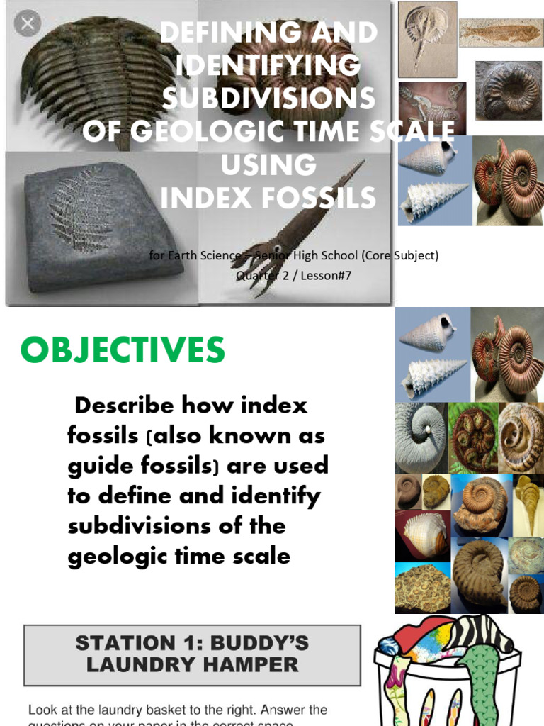 Index Fossils in Geologic Time | PDF | Geologic Time Scale | Geology